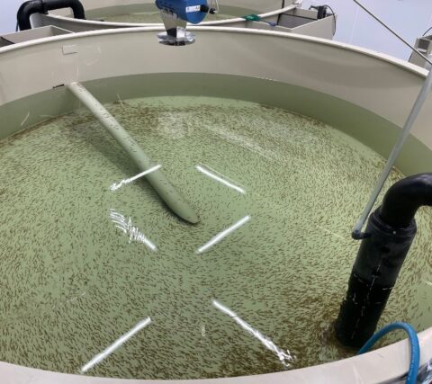 Plast Solutions ApS | Plastsvejsning og Montage